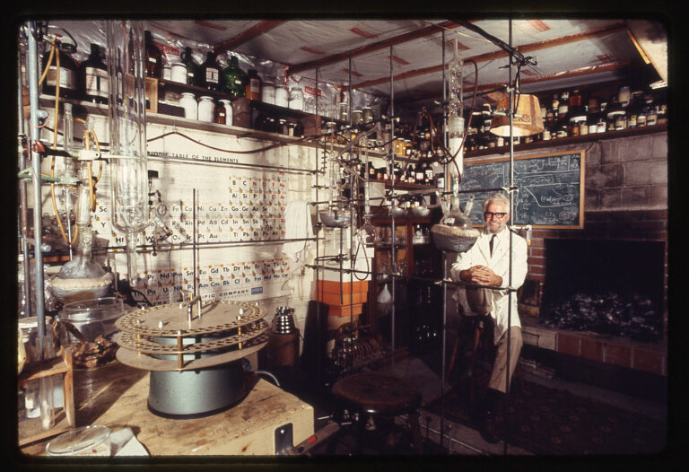 The Farm - The Shulgin Foundation