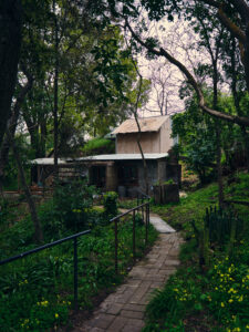 The Farm - The Shulgin Foundation